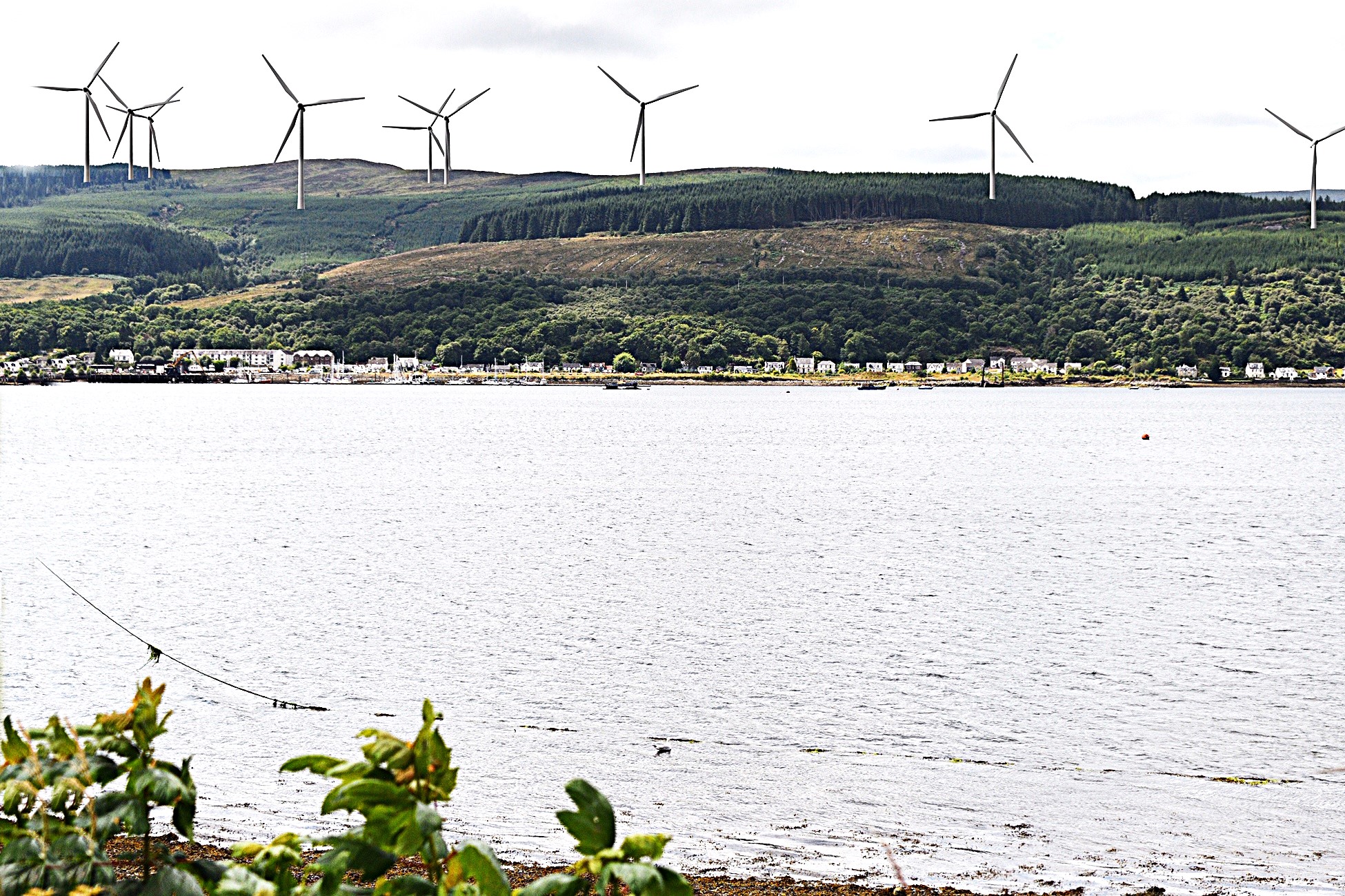 Home - Save Cowal's Hills