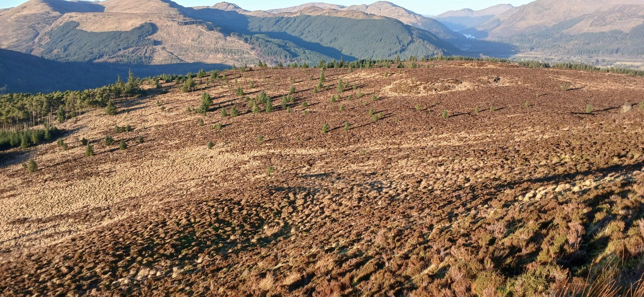 Holy Loch Nature Reserve: the serious risks posed by the Giant's Burn ...